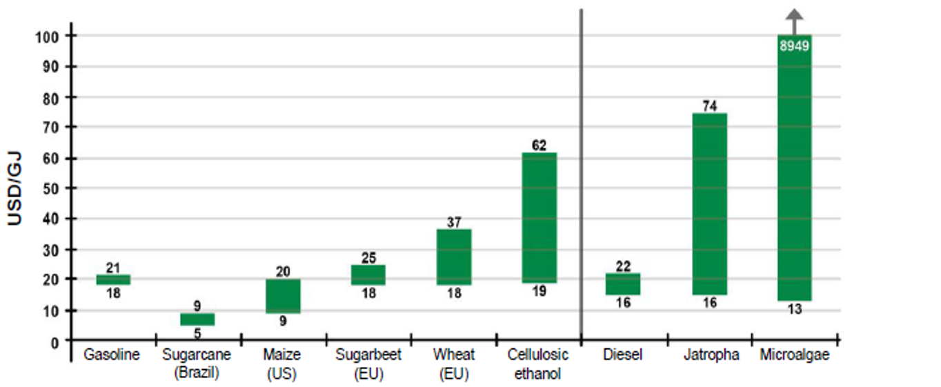 From the Field to your Plate: Biofuels (Part 2) - Exploring Innovations ...