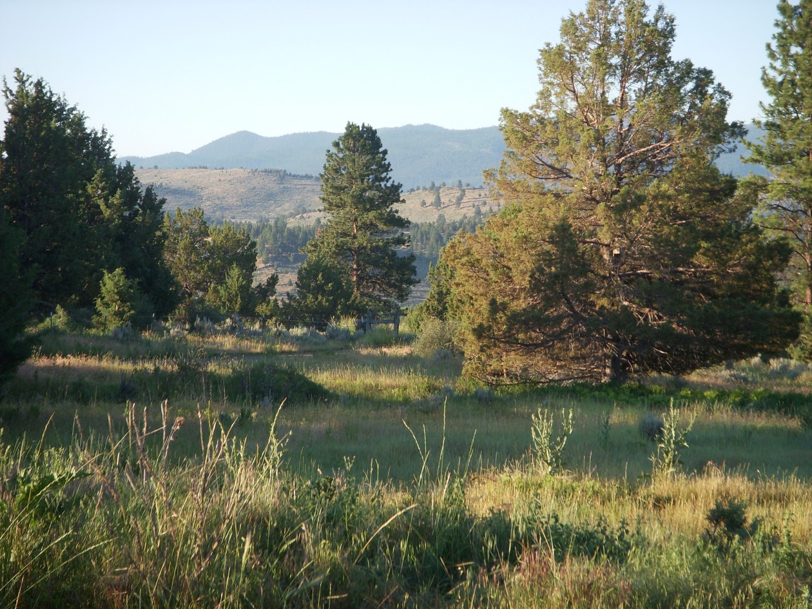 Our Eastern Oregon 80 Acres: House and property description
