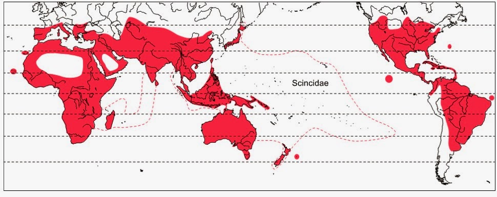 Biology of the Reptilia: Worldwide Reptile Diversity - Cleveland ...