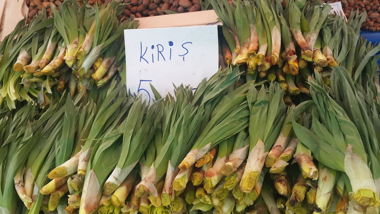 YUMURTALI ÇİRİŞ (KİRİŞ) OTU KAVURMASI