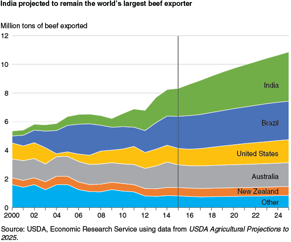 Which Nation Exports the Most Beef? | Big Picture Agriculture