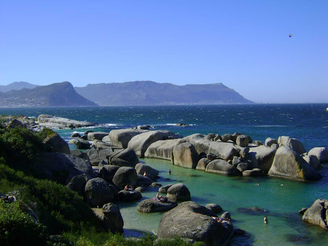 Are You Here – Are You There: Boulders Beach