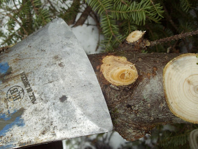 Axe Connected: Review: Barco "Cruiser" Ax