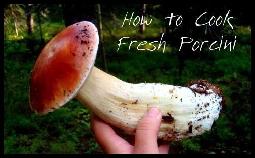 How to Cook Fresh Porcini