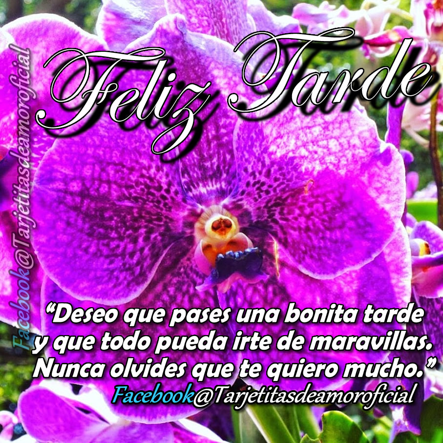 Linda y Maravillosa tarde para ti, “Hoy es una bella tarde por eso ...