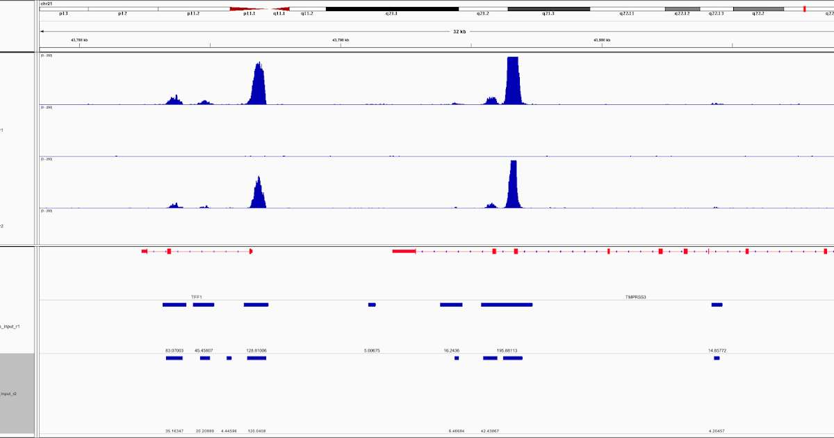 Genomic analysis by a biologist: ChIP-Seq