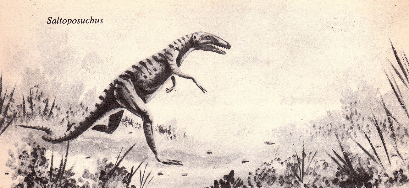 Love in the Time of Chasmosaurs: Vintage Dinosaur Art: Dinosaurs and ...