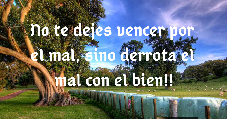 Romanos 12:21 Derrota el mal con el bien