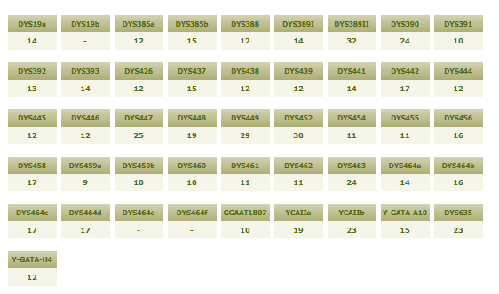 Stringer History, Heraldry, & Genealogy: Stringer Paternal DNA