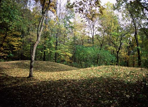 NephiCode: July 2012