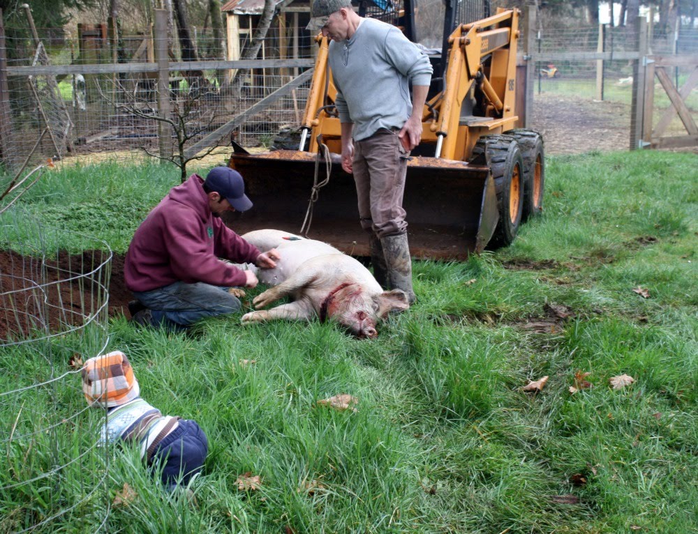 Mountain Home Quilts: Butchering the Homestead Hog