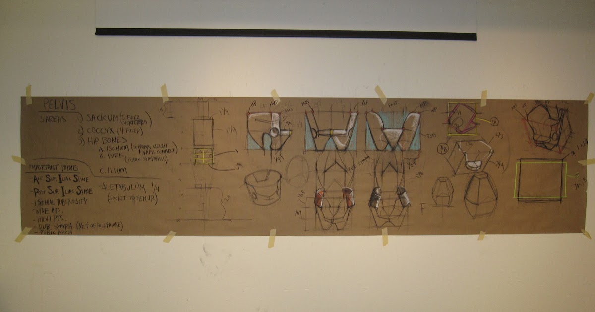 Kenney Mencher: Some Notes and Diagrams about the Pelvis (Credit goes ...