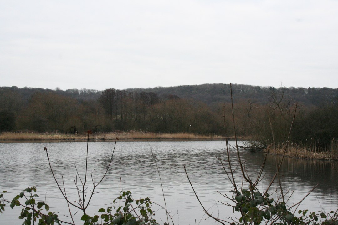 Discover Yorkshire's Wildlife: YWT Denaby Ings - 3 March 2013