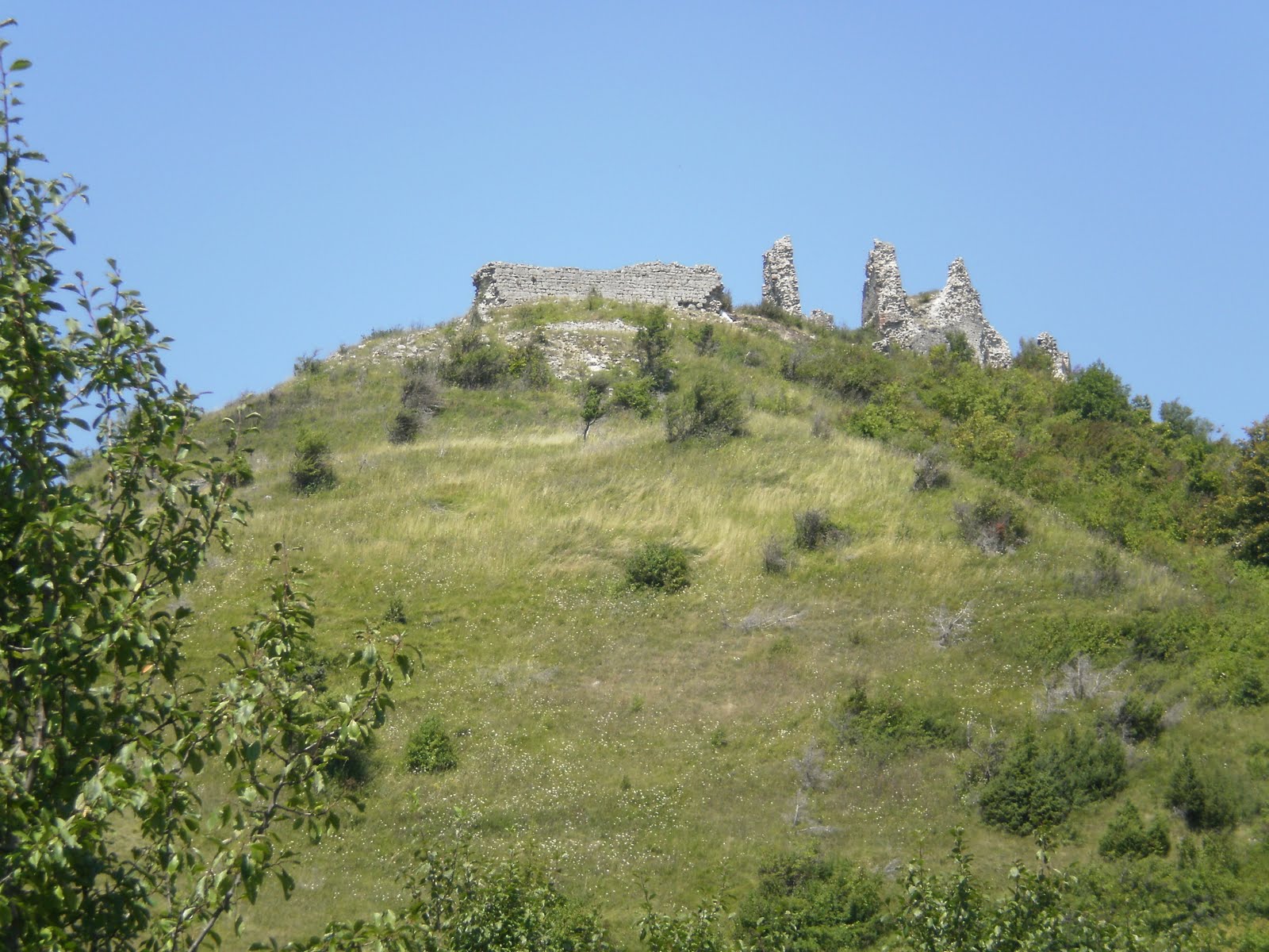 GLEDIŠTA VUJCA ŠTEFINE: MODRUŠKA GRADINA ILI TRŽAN GRAD