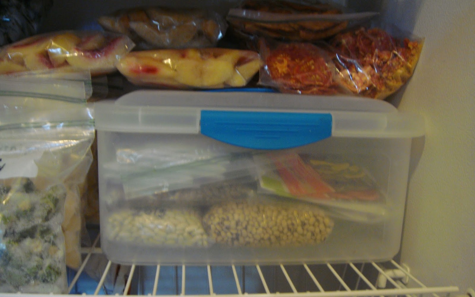 Sensible Survival: Start Your Own Seed Bank