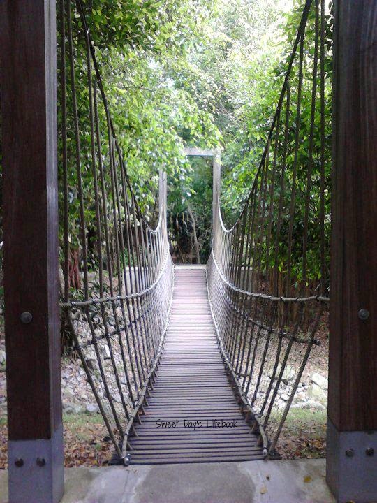 Sweet Day's Lifebook: Little One @ Jacob Ballas Children's Garden