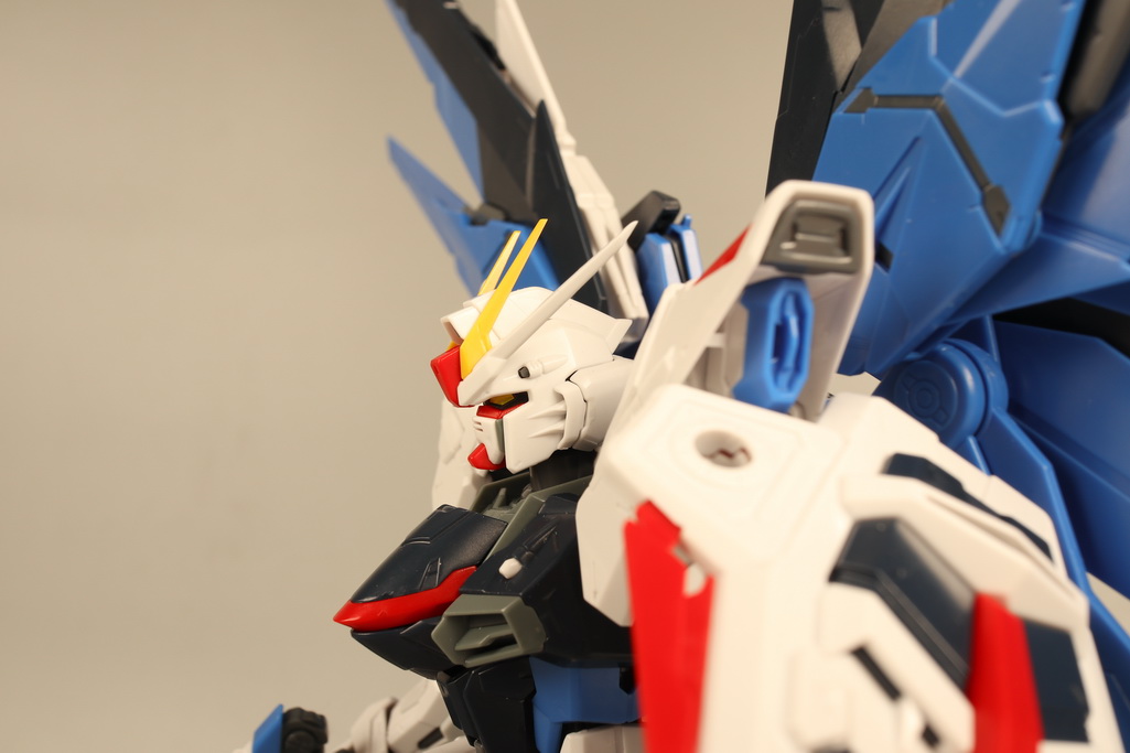 nu Type: Daban Model 6650 Freedom ver.2.0 (review)