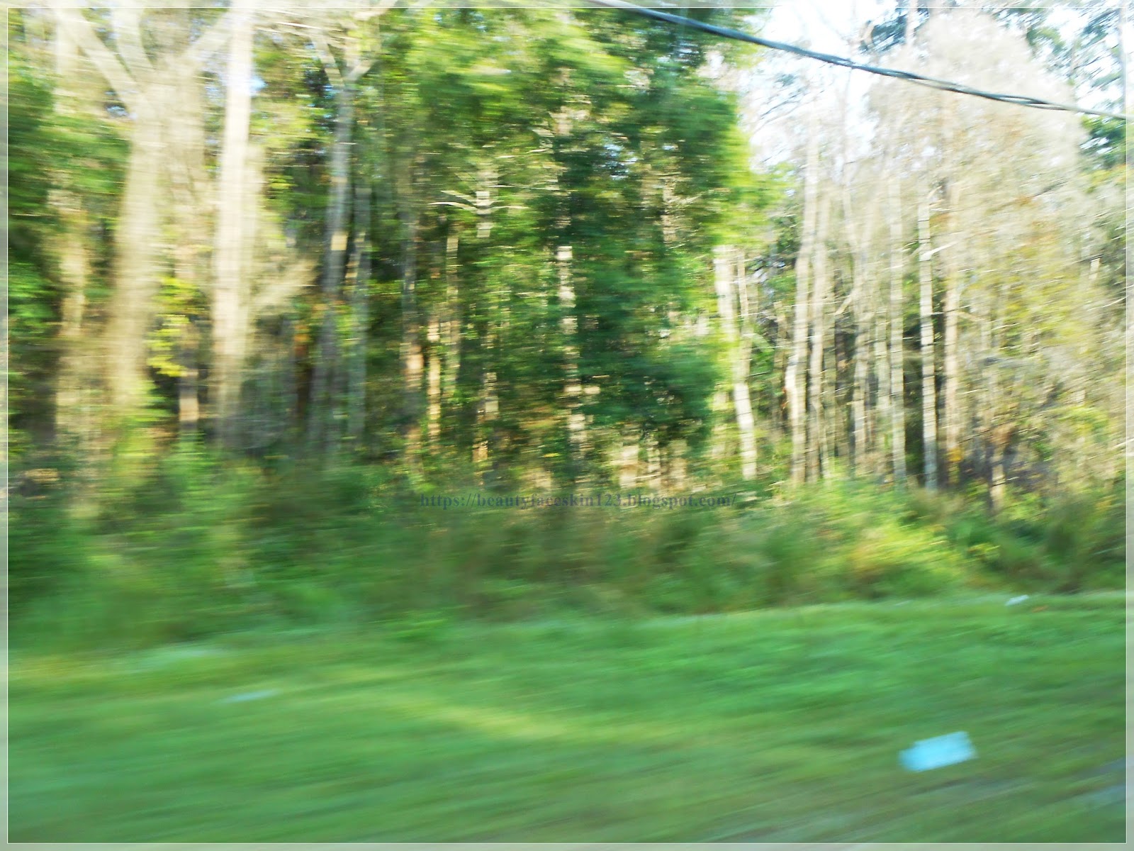 GREAT SKINandLIFE: FOOD REVIEW ON JIANG KANG SEAFOOD RESTAURANT KUANTAN ...