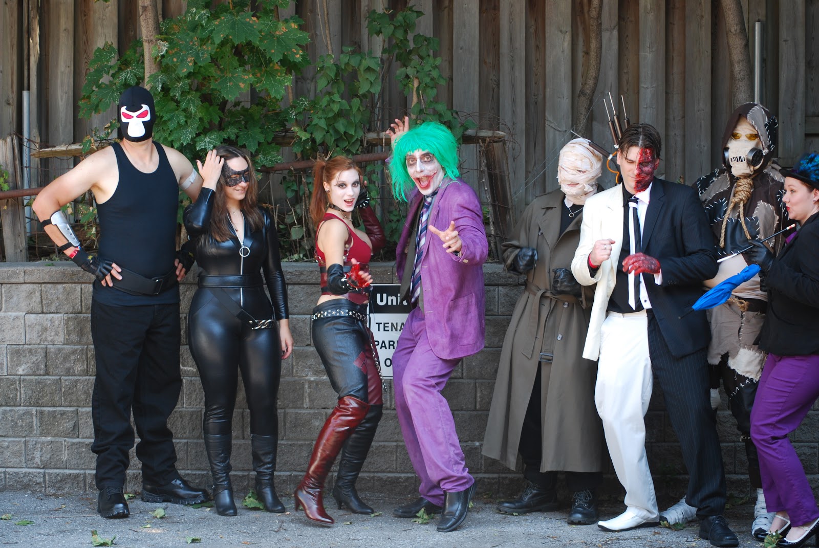 Batman Villains Costumes