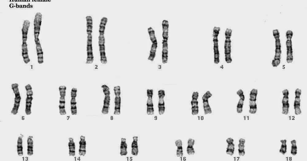 Friends of 4p+: What is 4p+?