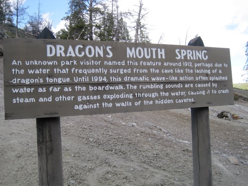 The Scallywagon: YOU SKIN GRIZ', PILGRIM? Yellowstone National Park