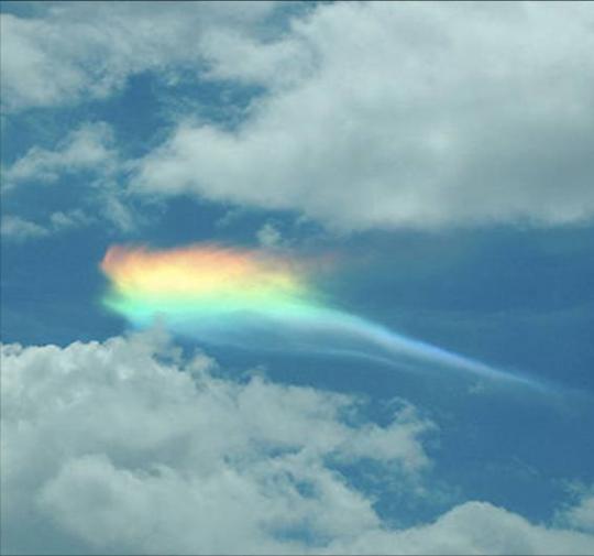 White Wolf : 'Fire rainbow' spotted over south Florida
