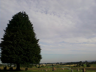 Millican Carrara Lippert (et al.) Genealogy Blog: John Lippert & Union ...