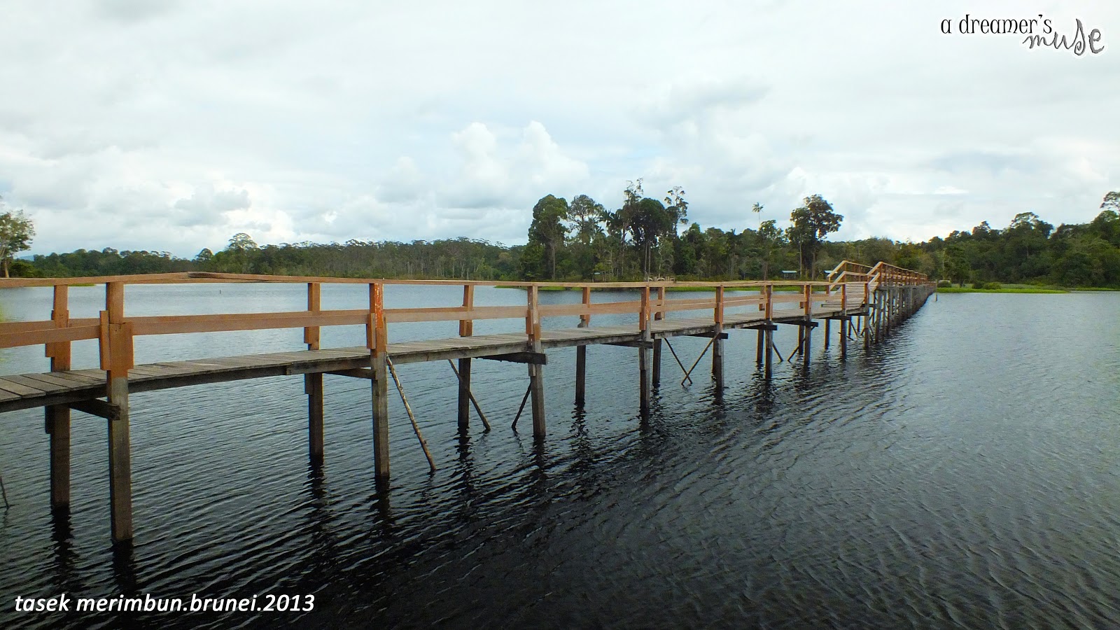 A dreamer's muse: Tasek Merimbun Heritage Park