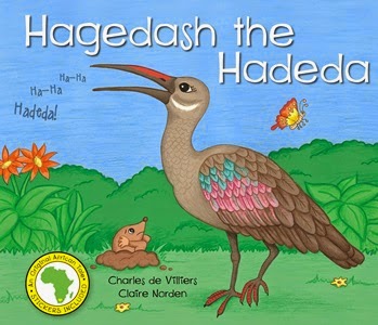 artSMart: HAGEDASH THE HADEDA