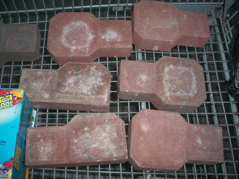 Pams Party & Practical Tips: Painted Garden Pavers