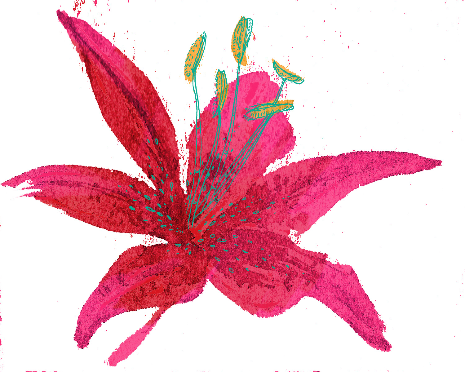 Kate Radomski Illustration: Flowers