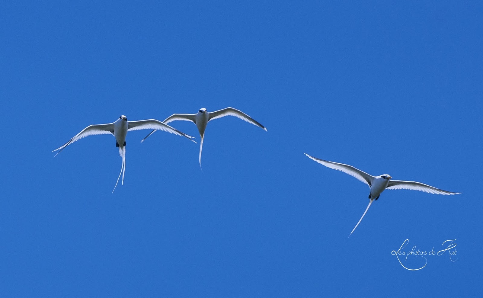 Le grand voyage de FabIsa: décembre 2016