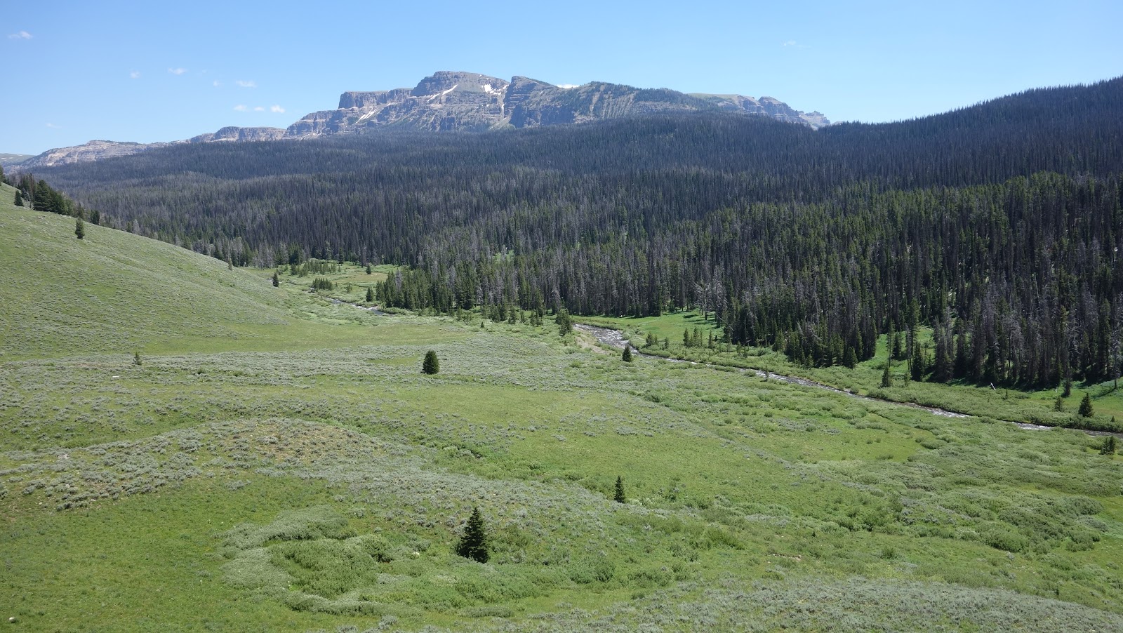 Across the Wilderness: Continental Divide Trail: Togwotee Pass ...