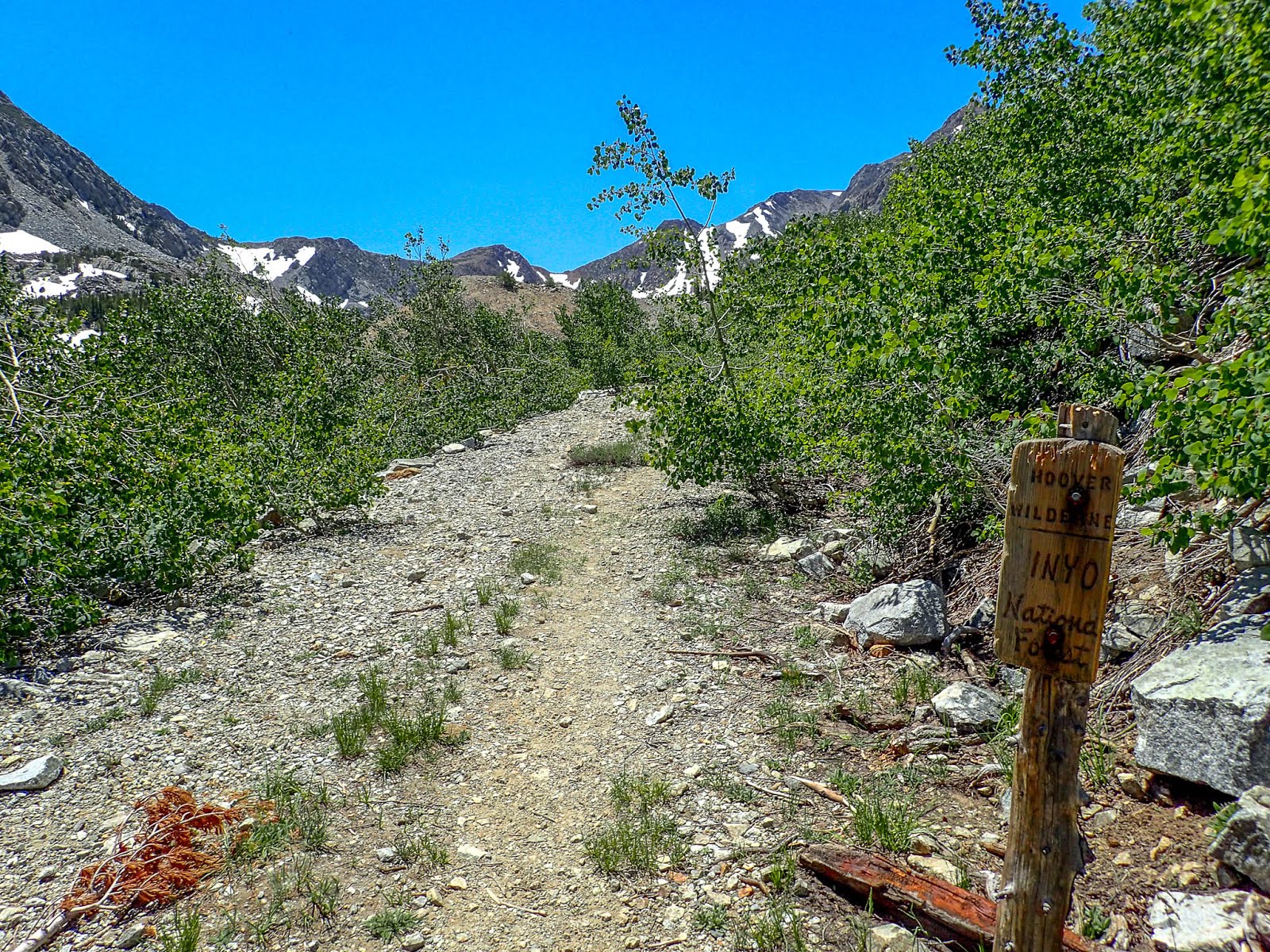 Mount Warren Via Lake Canyon And Lake Oneida WTC Experience Trip ...