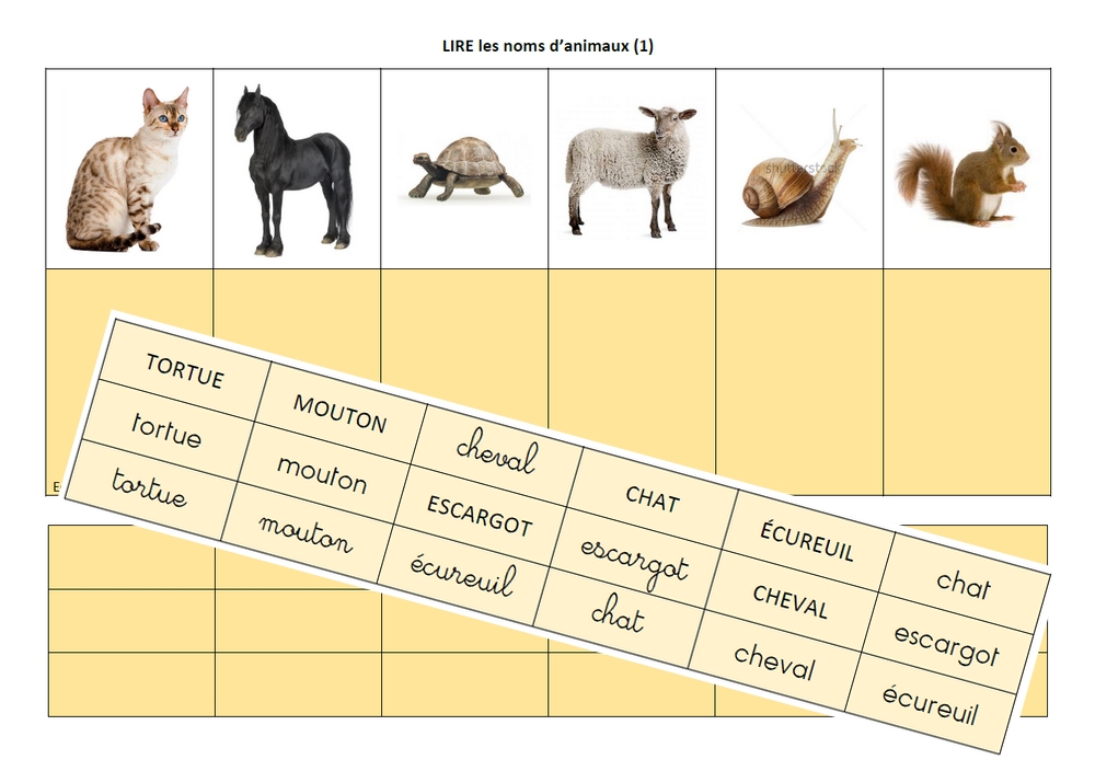 Le Journal de Chrys: 3 graphies de l' ALPHABET
