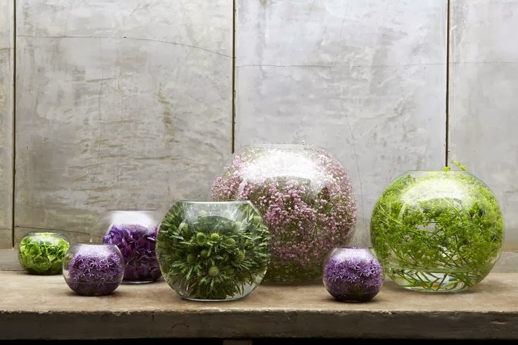 Caroline Maguire Designs