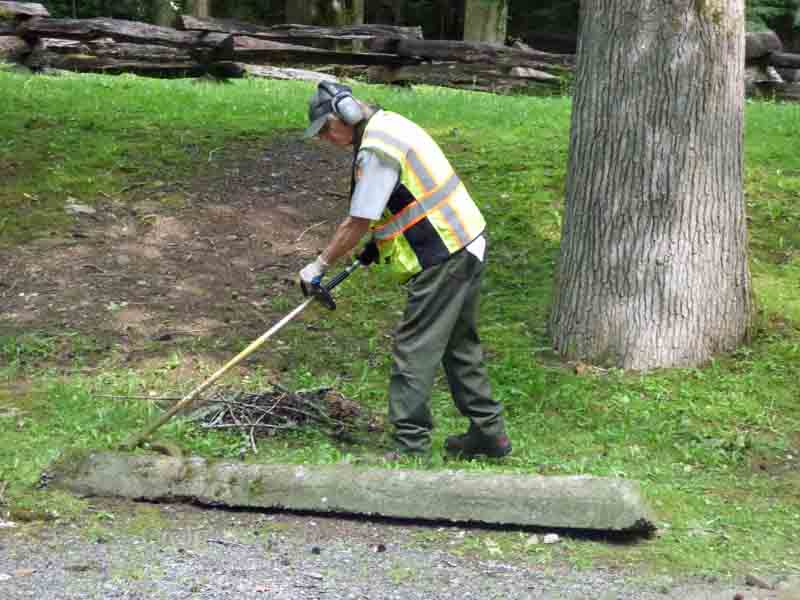 Big Creek Journal: String Trimming and Mowing