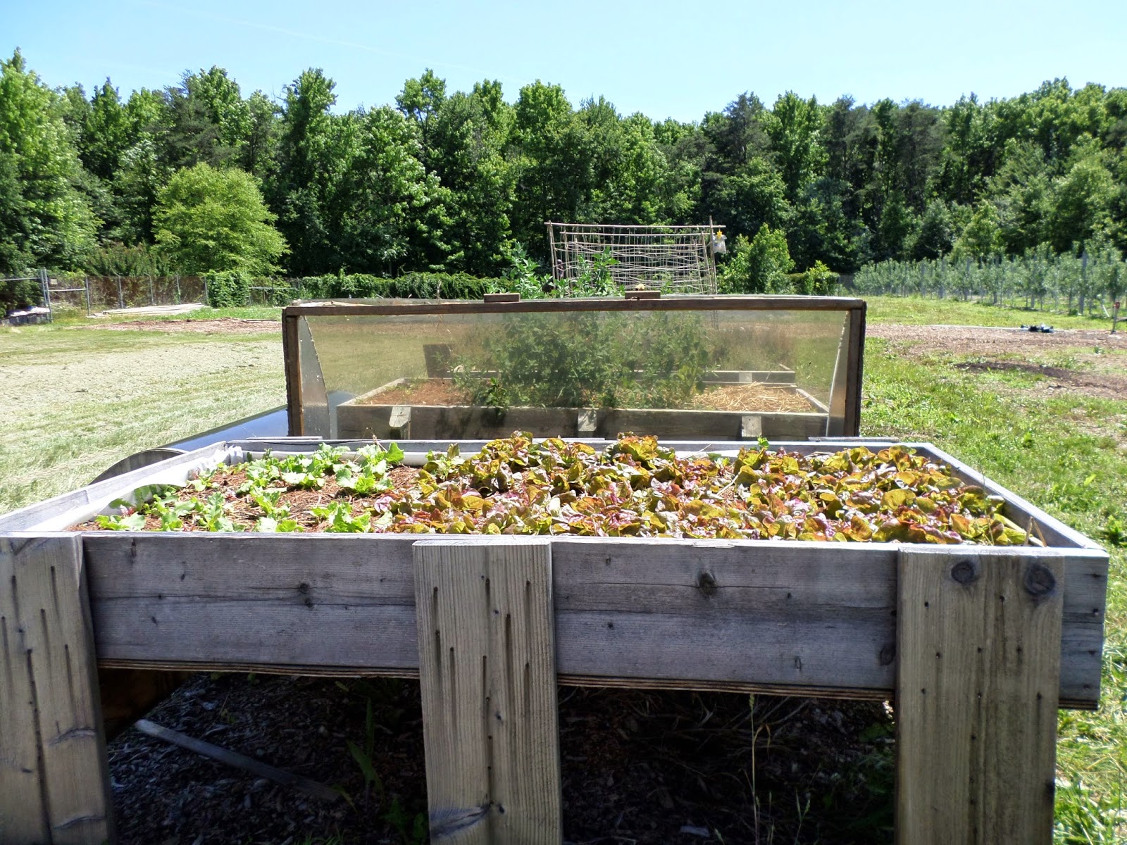 Just CAUSES: All About the UDC Muirkirk Research Farm