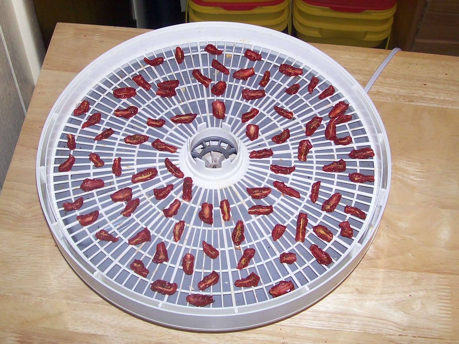 Dehydrating Way Beyond Jerky: Dehydrated Cherry Tomatoes – Super Easy