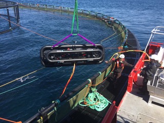 The Aquaculturists: AKVA’s Flying Net Cleaner lands a winner