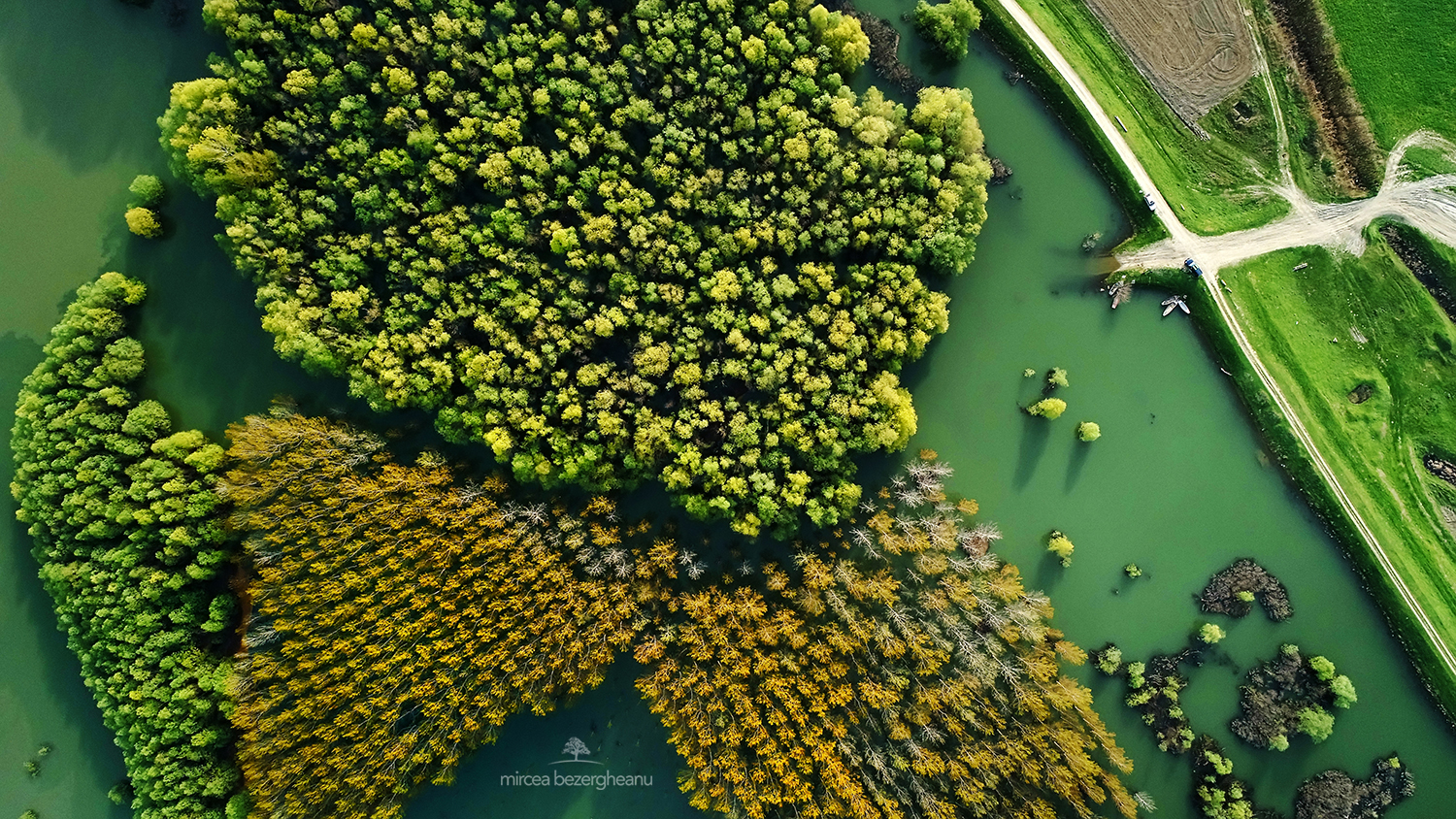 Dobrogea tată, Dobrogea!!! - Renașterea.
