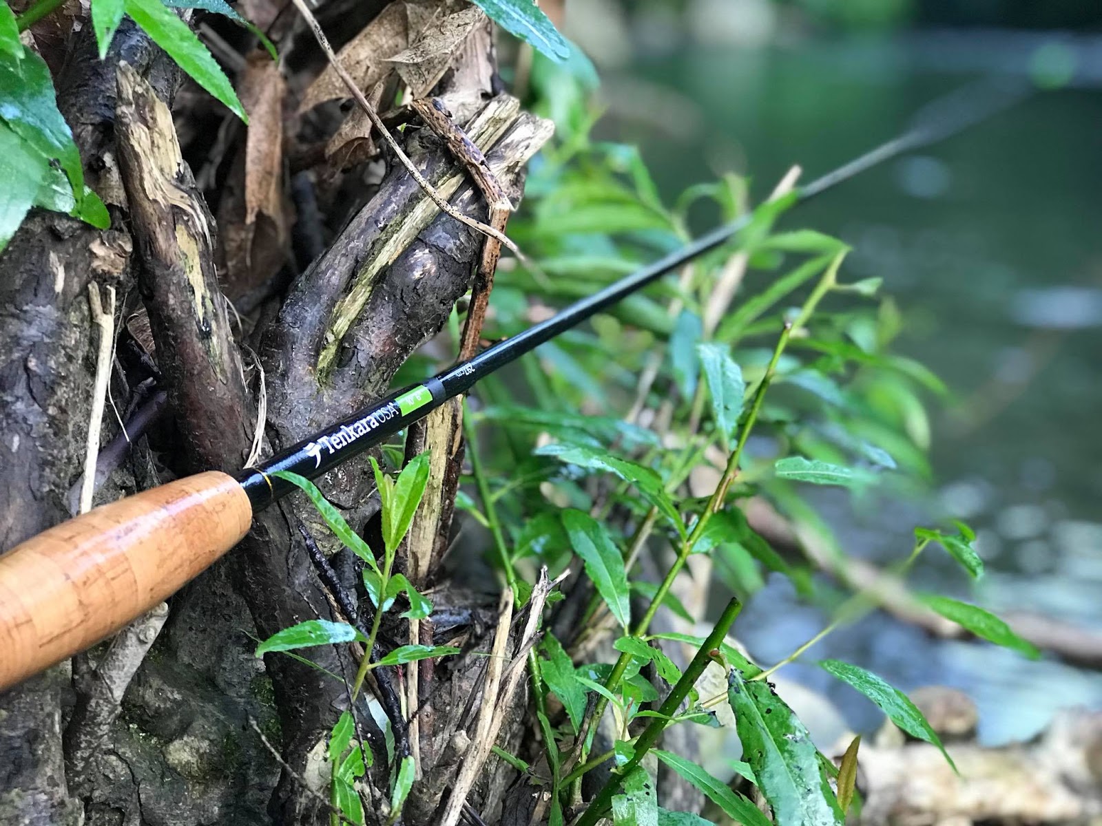 Full Circle Outdoor Lifestyle: Intro to Blue Line Fly Fishing