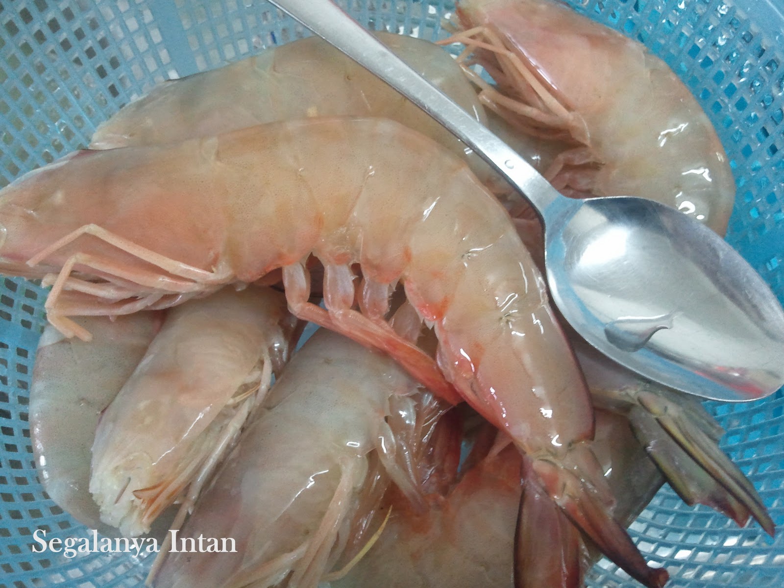 Segalanya Intan: Kari Udang Laut