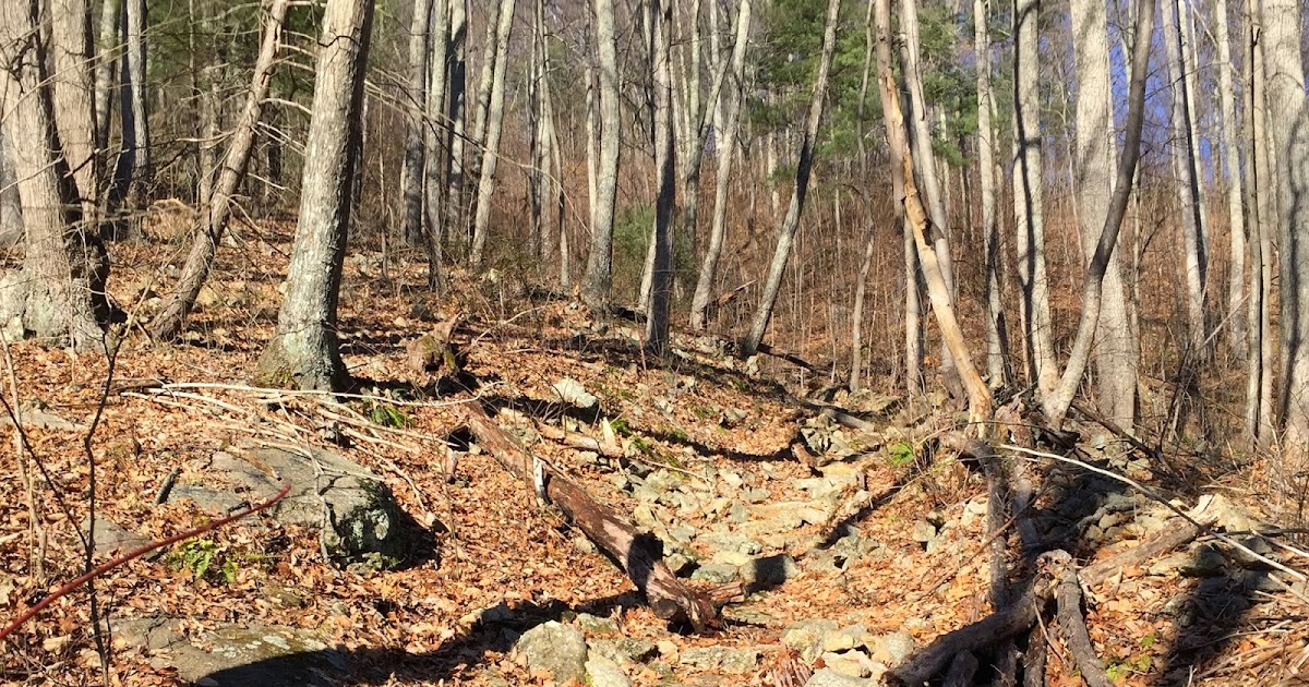 Wandering Virginia: Shenandoah Wilderness: Nicholson Hollow Trail and ...