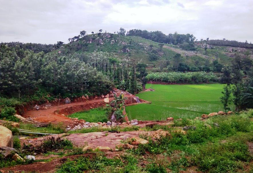 Tamilnadu Tourism: Kolli Hills