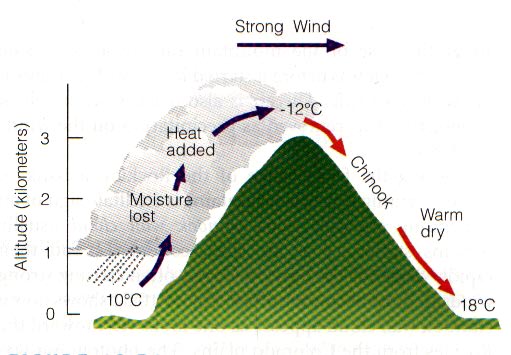 Angin Fohn dan Dampaknya - Guru Geografi
