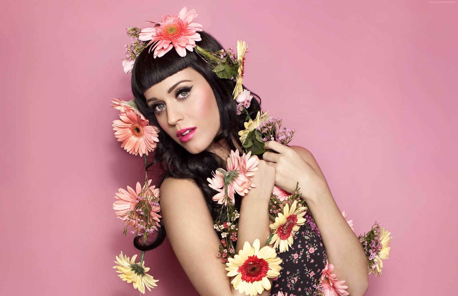 Wallpapers "Katy Perry" Download 10 Images | The Best Place to Enjoy ...