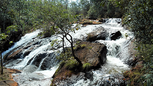Cuba ...a special island: Salto del Guayabo is the highest waterfall in ...
