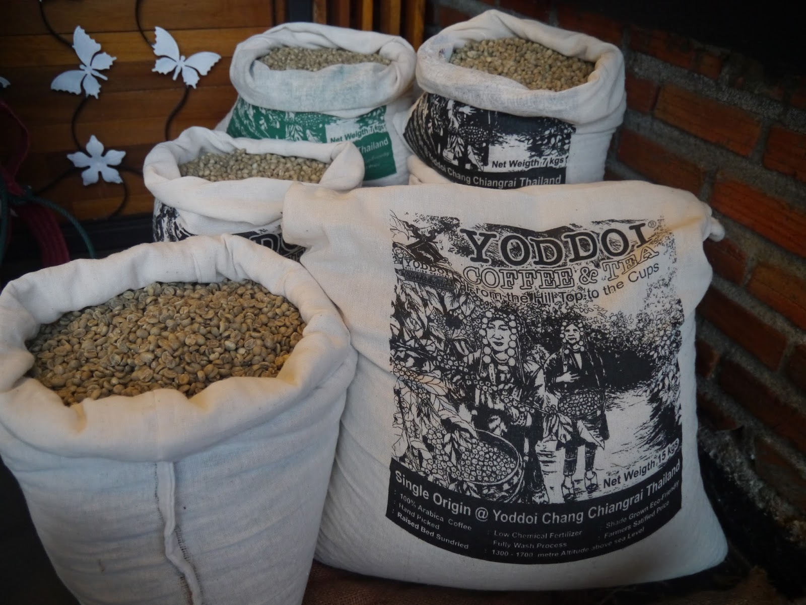 Arabica Yoddoi coffee: Arabica Yoddoi Doichaang Green Coffee Bens ...