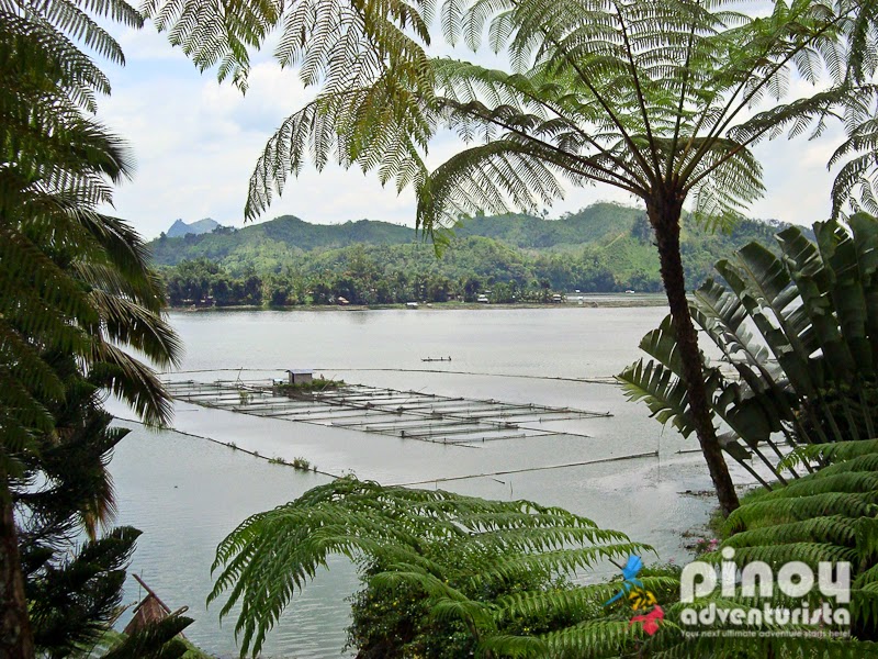 WHERE TO STAY IN LAKE SEBU: Punta Isla Lake Resort, "Nice and ...